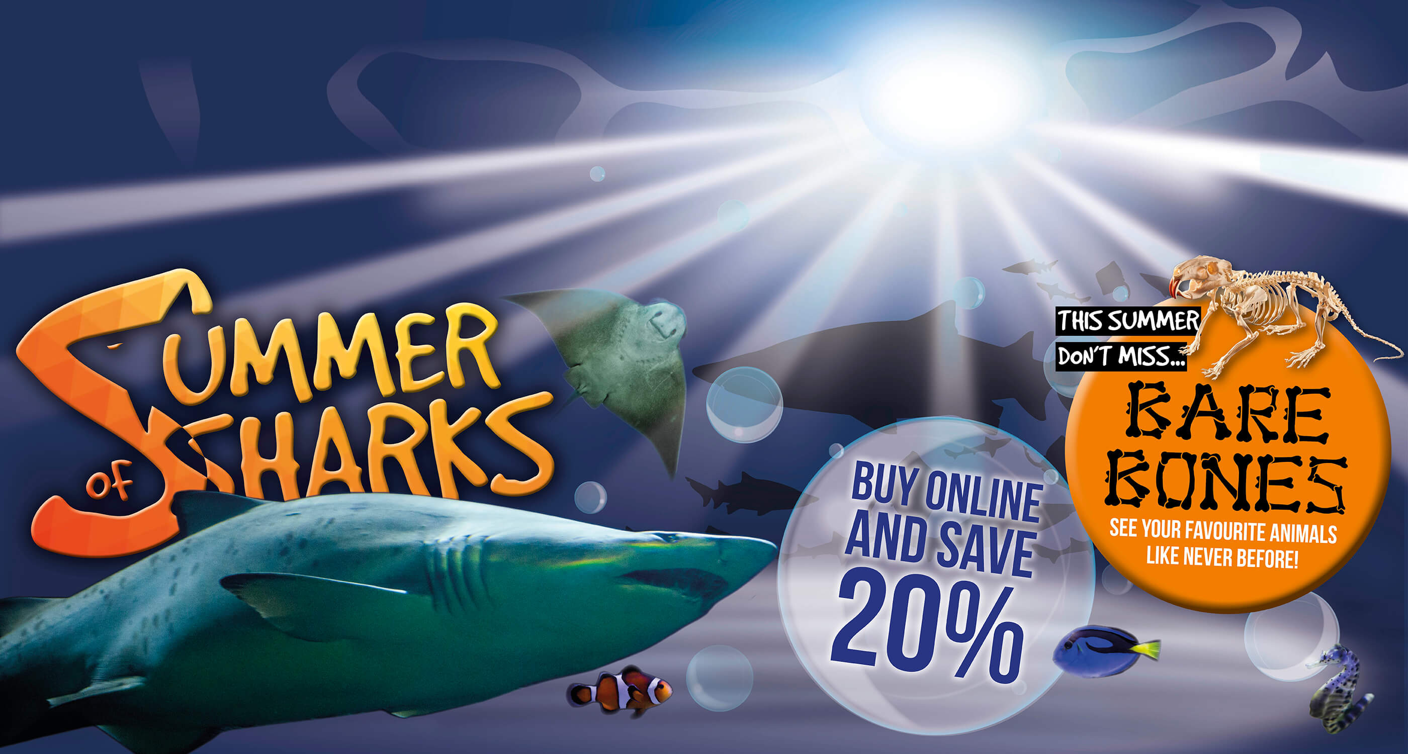 Deep Sea World: Scotland's National Aquarium